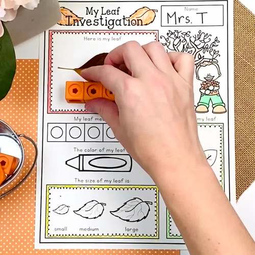 Fall Leaf Investigation and Leaf Activities by Turner Tots | TPT