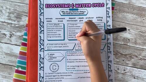 Mystery Science 5th Web of Life Lesson 5 Worksheets, Notes, Test ...