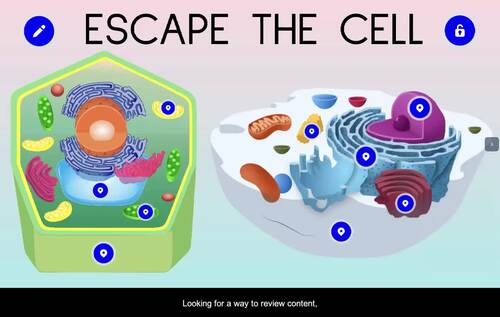 Cell Organelle Digital Escape Room by Science Lessons That Rock | TPT