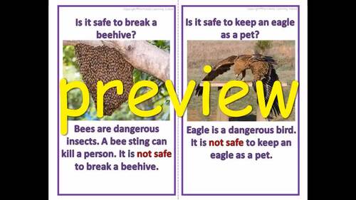 NOT SAFE – Flash cards with explanations - All real Images. | TPT