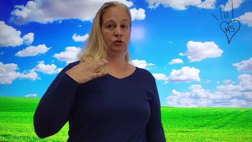 ASL Unit 7 Video 20 by Melissa Sexton | TPT