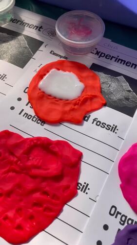 Fossils Experiment | ESL/ENL | Inferences | Cast, Mold, Trace & Body ...
