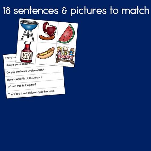 Summer BBQ Cookout Sentence Reading Comprehension Writing Worksheets & Game