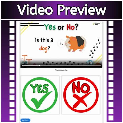 Yes or No: Pet Animals Digital Resources, Vocabulary Building | TPT