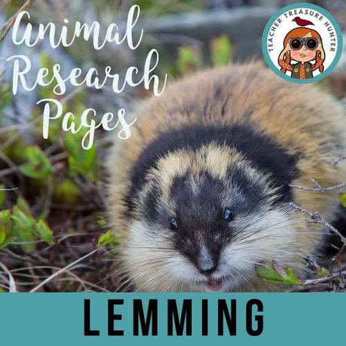 Lemming Arctic Animal Research Page for 1st 2nd 3rd grade animal reports