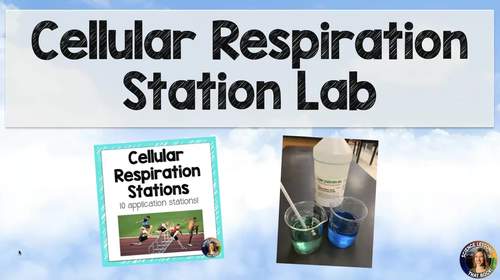 Cellular Respiration Science Station Activity by Science Lessons That Rock