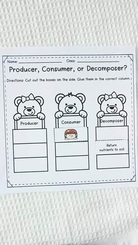 Producer Consumer Decomposer – Cut and Paste Sorting Activity | TPT