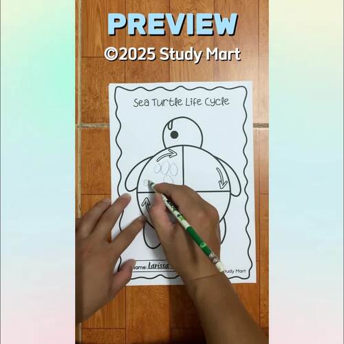 Sea Turtle Life Cycle Coloring and Drawing Activity for Science Centers