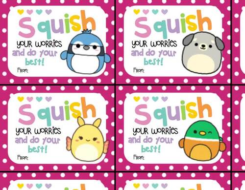 Squishmallow Testing Motivation Gift Tag- Squish your worries and do ...