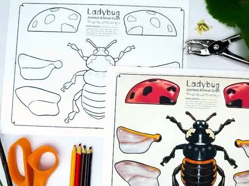 Ladybug | Jointed Animal Craft | Articulated Craft | Ladybugs | TPT