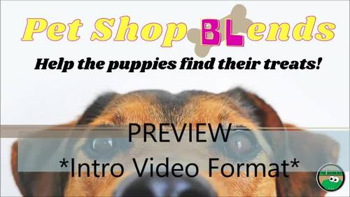 Beginning Blends Pet Shop Bundle (L, R, and S Blends) by The Teacher Rex