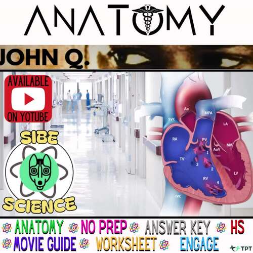 John Q. | 11th| Anatomy Movie | Worksheet| HS| by SIBE SCIENCE | TPT
