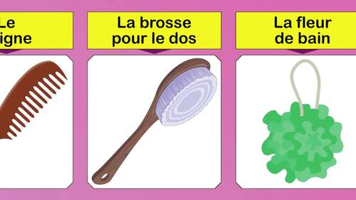 FRENCH 'Hygiene' Vocabulary Large Posters ( L'hygiène ) With 49 Images.