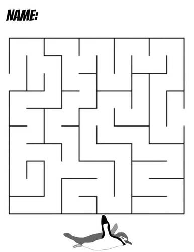 Penguin Day Mazes with Penguins - Penguin Week Activities | TPT