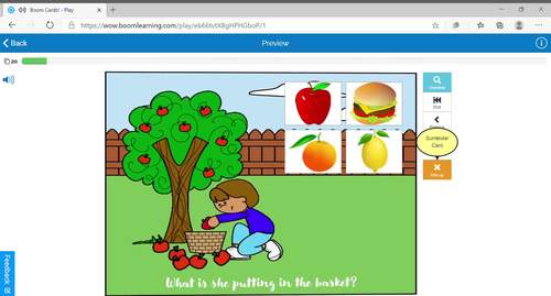 What Questions Scenes with Animated Gifs BOOM Cards by Petite Speech Geek