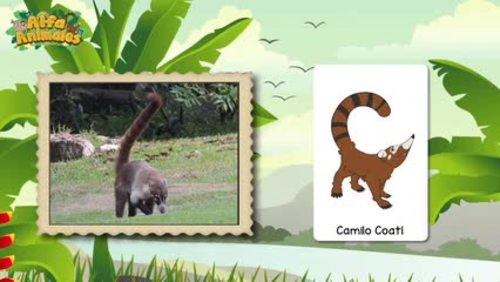 Spanish Alphabet Interactive Coloring Book & Videos {Alfa Animales}