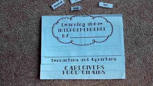 Interdependence: 4 Page Interactive Science Flip Book by Quarky Designs