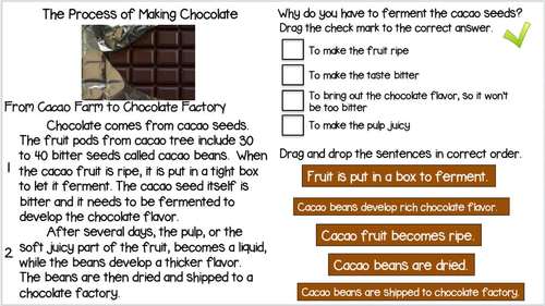 Reading Skills Practice for Google Classroom (4th grade State Testing ...