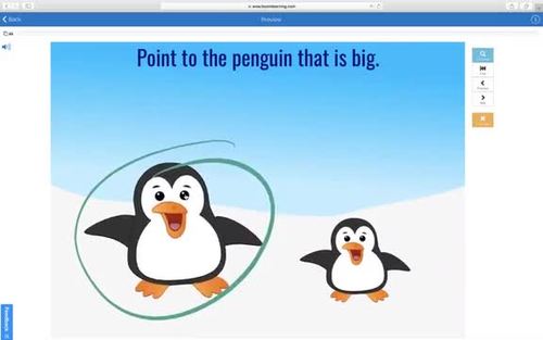 Basic Concepts: Winter Animals Boom™ Cards Activity by By Abb | TPT