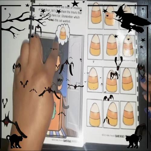 Errorless Visual Memory Interactive Book by Same Road Different View