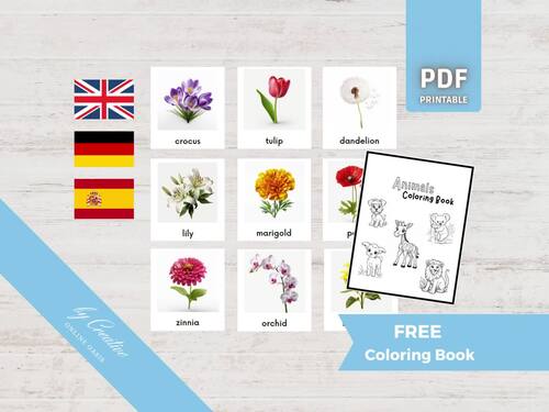 FLOWERS • 30 Montessori Flashcards • Biology Image Card • German ...