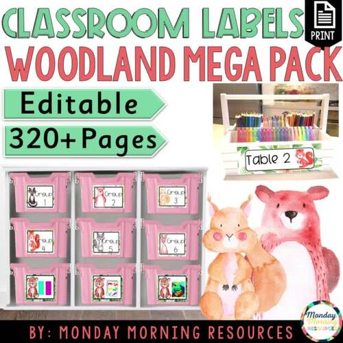 Editable Classroom Labels - Notebooks, Book Bins, Tote Trays in ...
