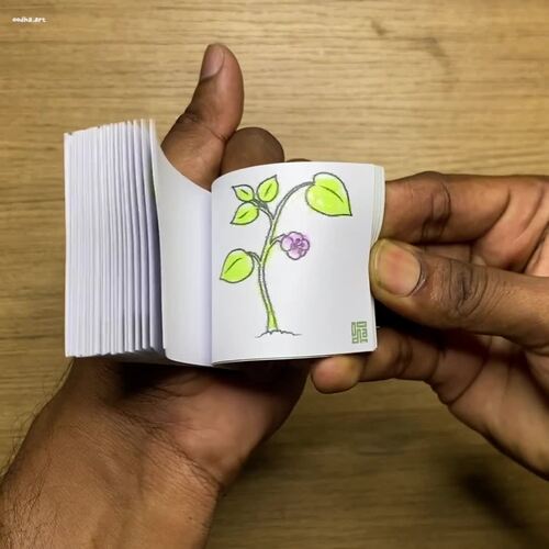 Life Cycle of a Bean Plant Animated Flipbook Activity | DIY Bean Lifecycle