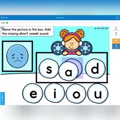 Short Vowel Identification CVC Words, Winter Boom Cards - Phonemic ...