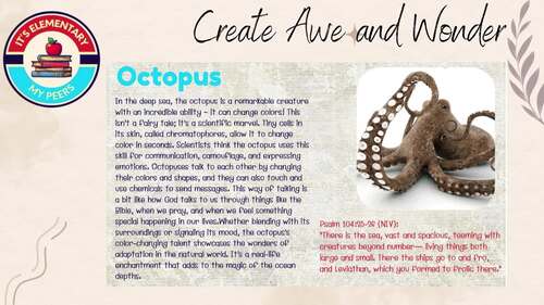 Devotional: God's amazing Creation. by Elementary my peers | TPT