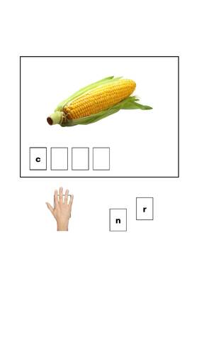 Bundle Deal! - Poster, Fill In The Blanks Activity & Worksheets- Vegetables