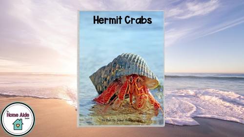 Facts About The Hermit Crab | Book and Slides | TPT