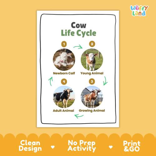 Cow Life Cycle Chart & Cut and Paste Activity | Farm Animal Biology ...