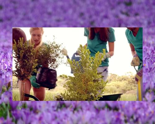 Gardening Riddle Me This Game | Gardening Trivia Game by StouteheartedMom