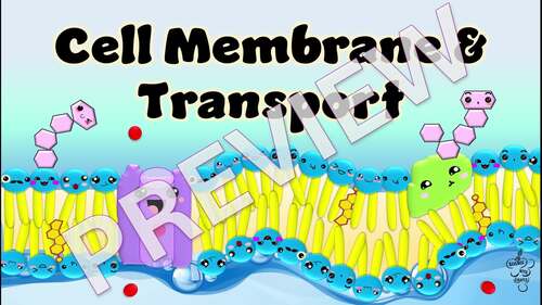 The Cell Membrane Structure & Cell Transport PowerPoint Slideshow
