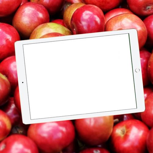 Cherche les nombres de 0 à 10 | Les pommes | Counting in French Boom cards