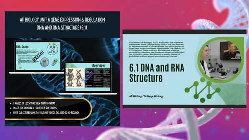 AP Biology UNIT 6 Gene Expression 6.1 DNA & RNA Structure Lesson