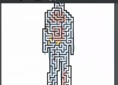 FREE Histology Maze: Explore Human Cells Anatomy Interactive Learning ...