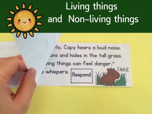 Living things and Non-living things : Small book , Interactive worksheet