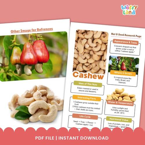 Cashew Nut Research Page Writing Worksheet – Fact and Picture Science ...