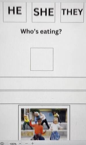 Tacting/Receptive - He She They Pronouns - ABLLS G37 by FerAg | TPT