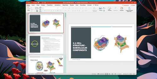 AP Biology Unit 2 Cells - Editable Powerpoints by Created By Alyssa