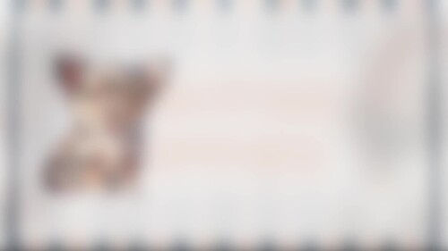 Subitising with Puppies (NSW Curriculum-Aligned) by Teach with Mochi