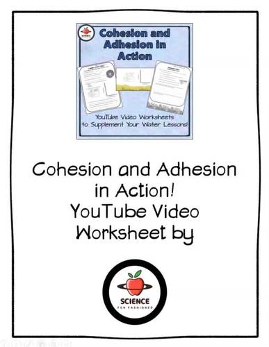YouTube Video Worksheets - Cohesion and Adhesion in Action! | TpT