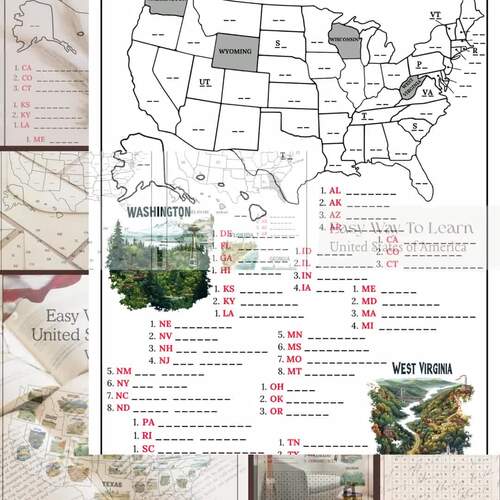 Alphabetical States Learning Activity (Printable PDF) by Little Brainery