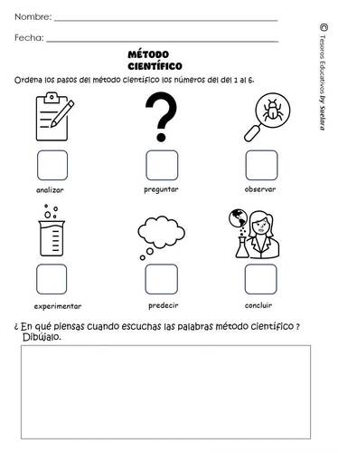 Pasos del método científico - Instrumentos de los científicos | TPT