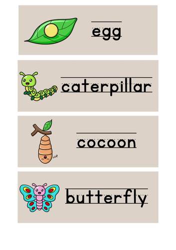 The very hungry caterpillar sequencing game and writing cards | TpT