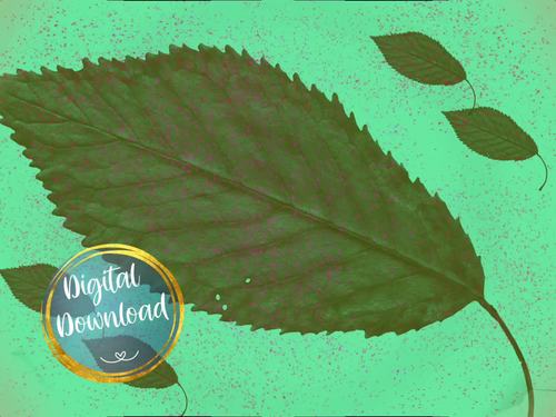 Nature Mix Digital Papers Commercial Use by Teach Elite | TPT