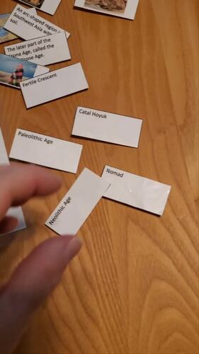 Stone Age Paleolithic and Neolithic Vocabulary Activity | TPT