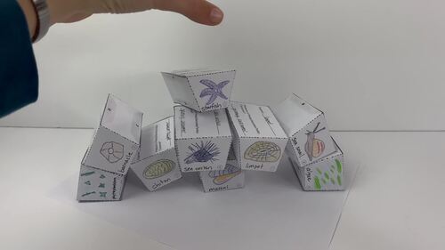 Keystone Species Arch Project - Trophic Cascades, Biodiversity & Food ...