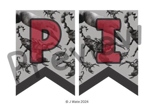 Scorpions Research PROJECT | Writing Activity | Fact File Worksheets ...